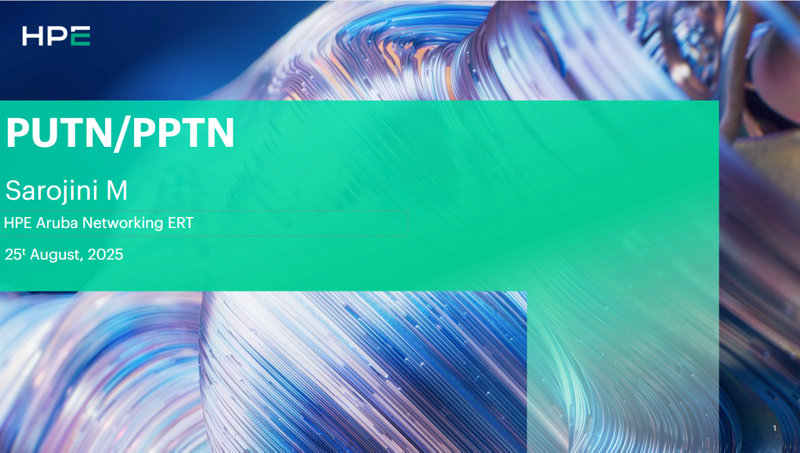 HPE Aruba Networking: PUTN/PPTN (Tunnel Node) | HPE